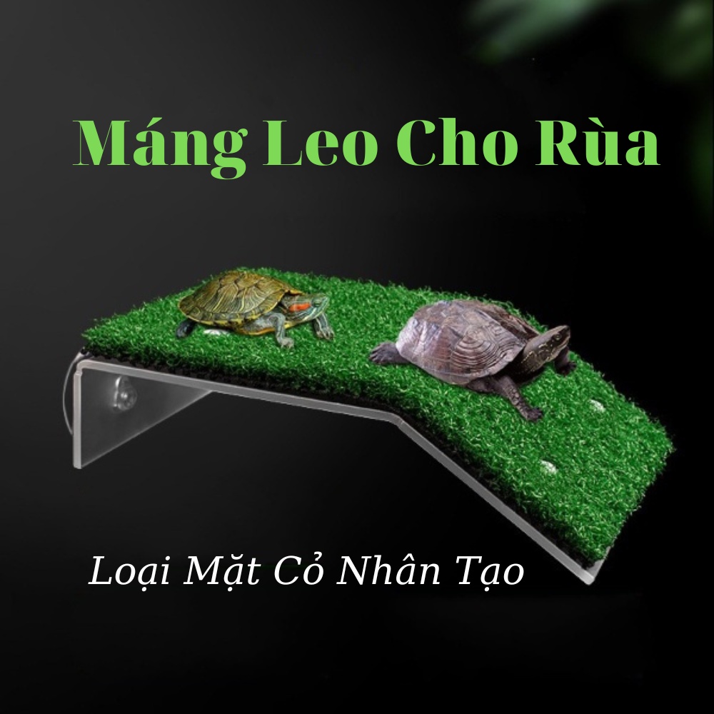 Máng Leo Cho Rùa Mặt Cỏ Nhân Tạo, Phụ Kiện Trang Trí Bể Rùa Cao Cấp ...