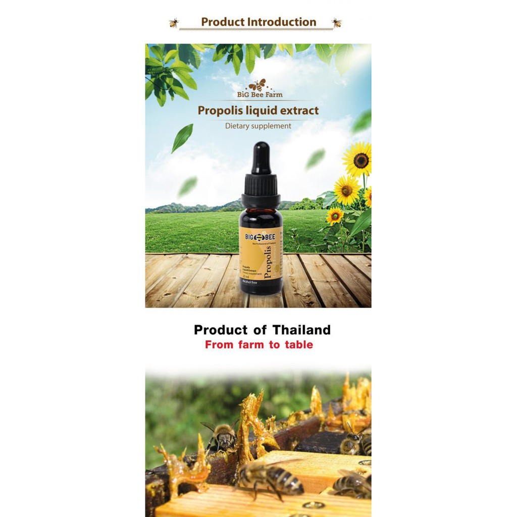 Keo Ong BigBee Propolis Liquid Extract Alcohol Free (20ml) | Shopee ...
