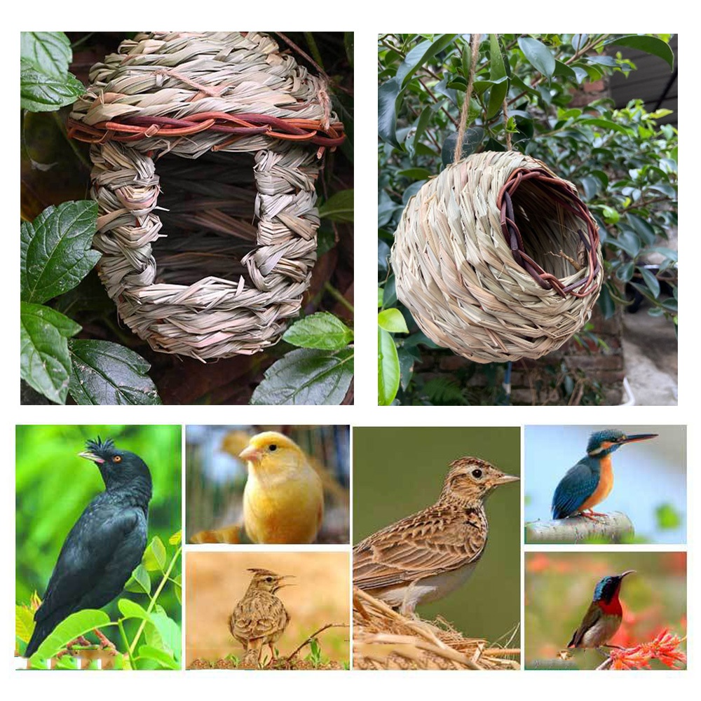 Tổ Chim Bằng Rơm Đan Dùng Trang Trí | Shopee Việt Nam