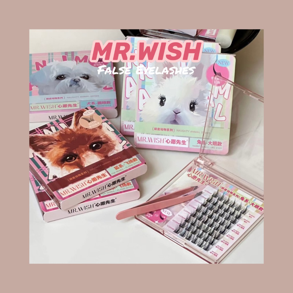 Lông Mi Giả MR.WISH | Shopee Việt Nam