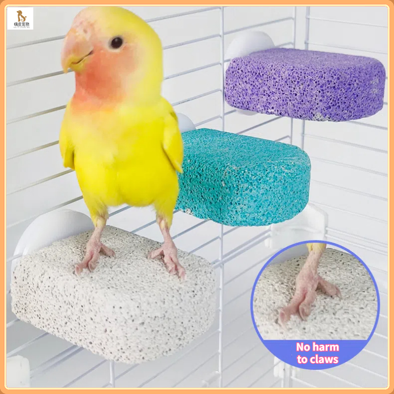 Vẹt đứng Rod/Vẹt kem Claw mài bảng/Phụ kiện lồng chim/Vẹt mài răng ...