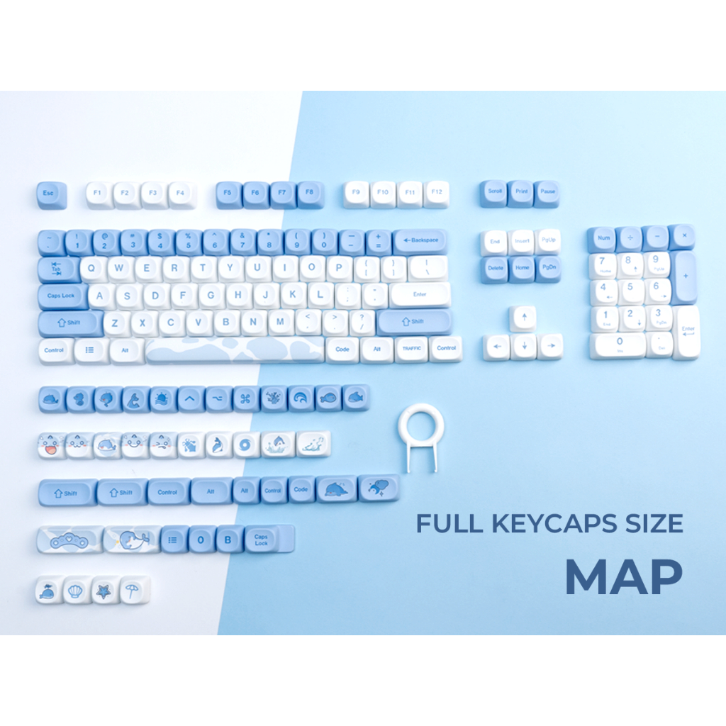 Xvx Dolphin MOA Profile Dye-Sub PBT Keycap Set 145 phím | Shopee Việt Nam