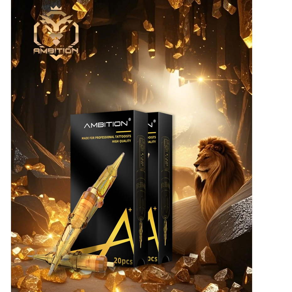 Kim Xăm Ambition Glory | Dùng Cho Phun Xăm Thẩm Mỹ & Xăm Hình | Hộp 20 ...