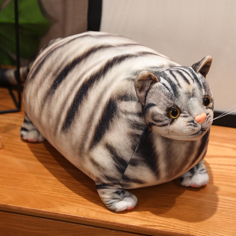 Bct Kawaii Cat Đồ chơi sang trọng Mèo béo vui nhộn Búp bê sang trọng ...