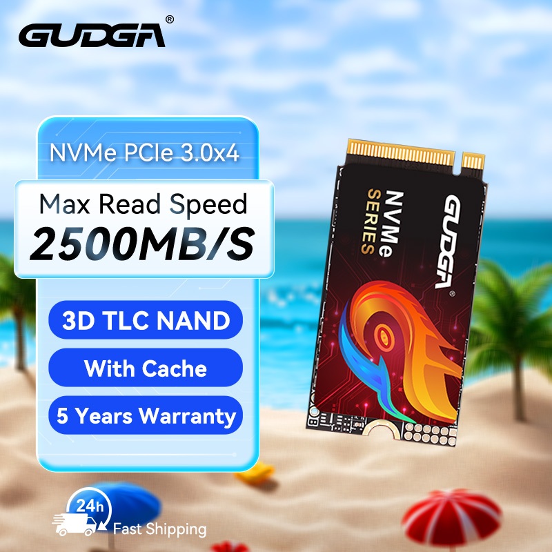 Gudga M.2 PCIe NVMe SSD 256GB PCIe 3.0 M.2 NVMe 2242 / 2280 Dành Cho ...