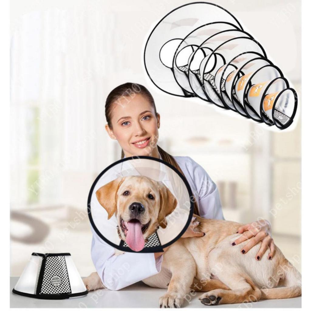 Pet Elizabeth Cone E-Collar Cat Dog Vòng cổ an toàn Vòng tròn Pet Head ...