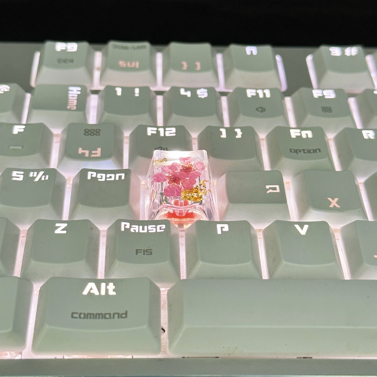 1 Cái Bàn Phím Hoa Trong Suốt Keycap Hoa Khô Thật Hoa Mai Cơ Khí ...