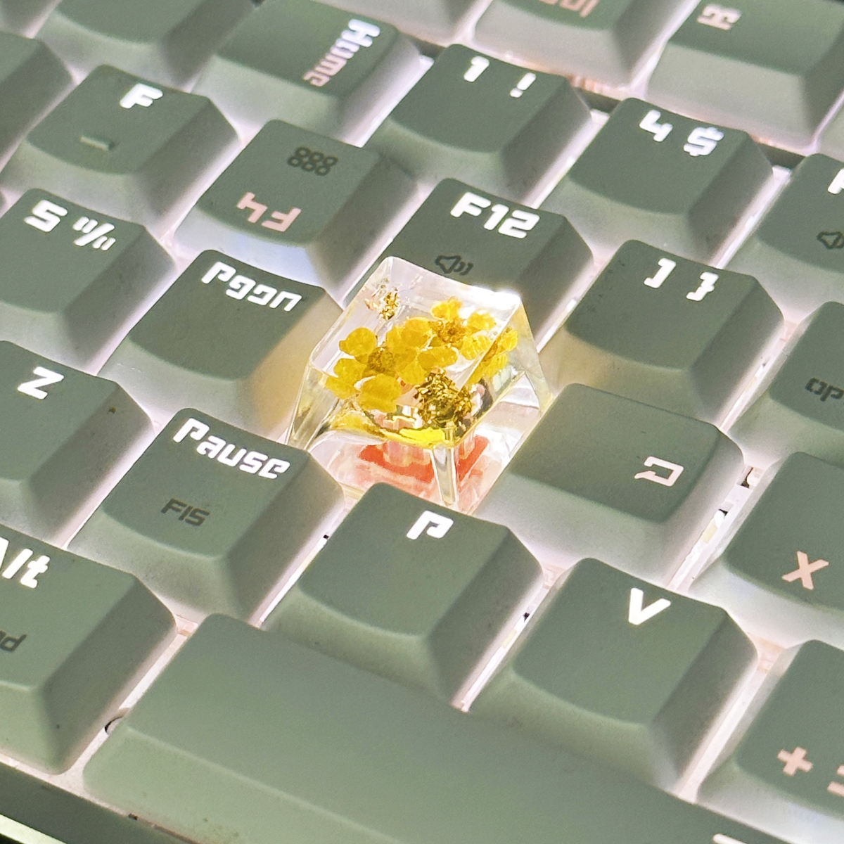 1 Cái Bàn Phím Hoa Trong Suốt Keycap Hoa Khô Thật Hoa Mai Cơ Khí ...
