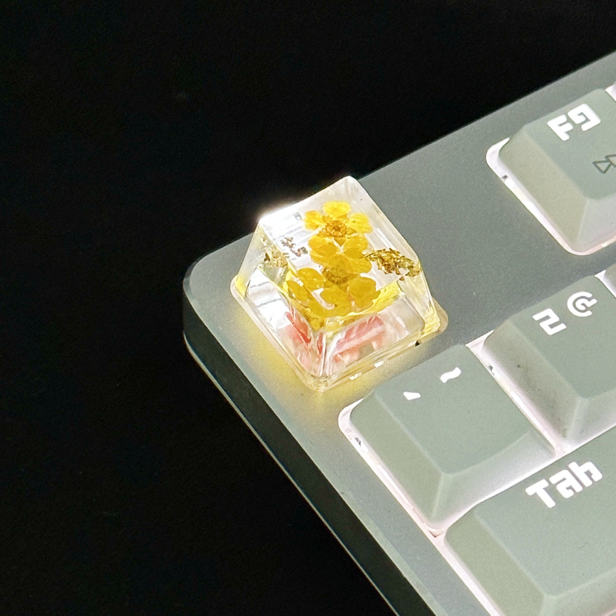 1 Cái Bàn Phím Hoa Trong Suốt Keycap Hoa Khô Thật Hoa Mai Cơ Khí ...