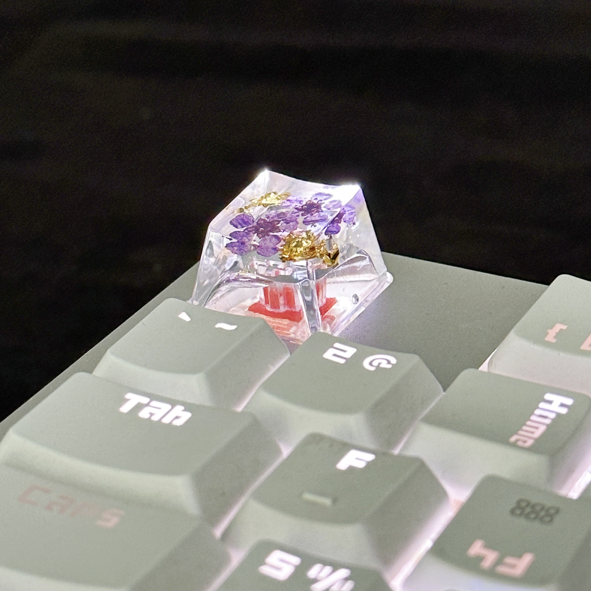 1 Cái Bàn Phím Hoa Trong Suốt Keycap Hoa Khô Thật Hoa Mai Cơ Khí ...