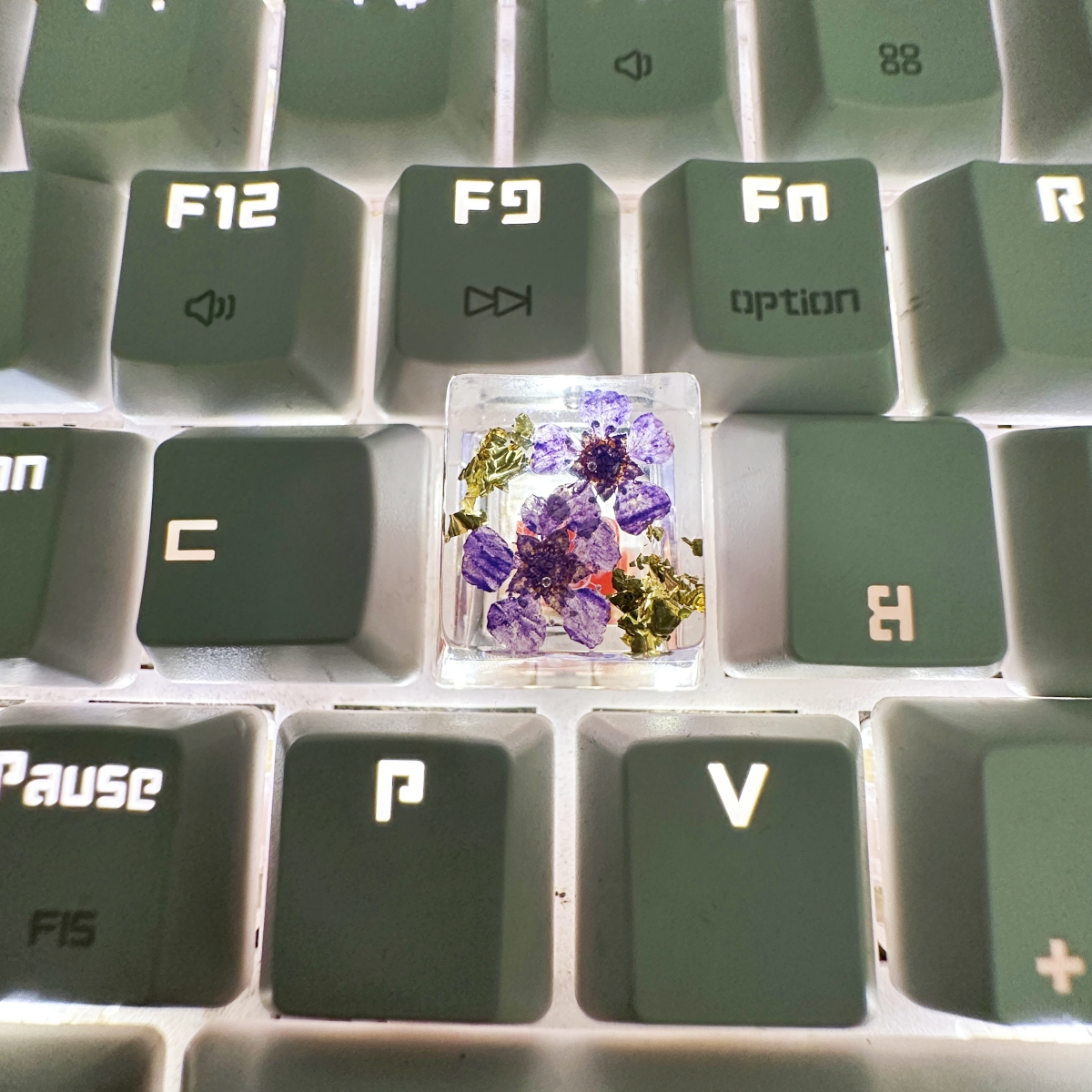1 Cái Bàn Phím Hoa Trong Suốt Keycap Hoa Khô Thật Hoa Mai Cơ Khí ...