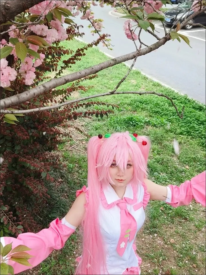 Anime miku cosplay trang phục nhật bản midi váy người mới bắt đầu tương ...