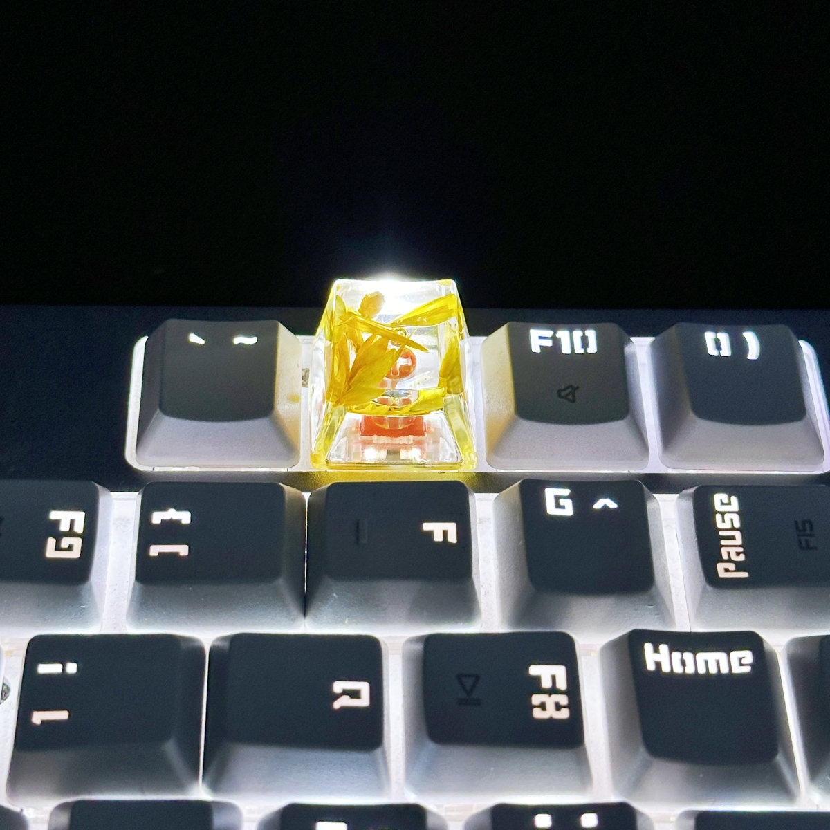 Handmade Độc Đáo Nhựa Trong Suốt Lúa Mì Tai Keycap Hoa Khô Hoa Thật ...