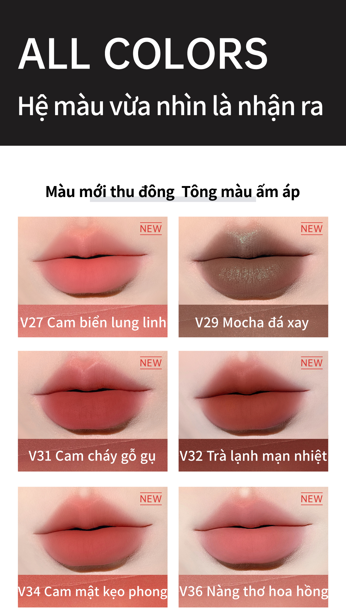 Combo 2 Son Mooekiss Son bùn lông thiên nga 3g + Không dính cốc Kỹ thuật khóa màu Son 3g ...