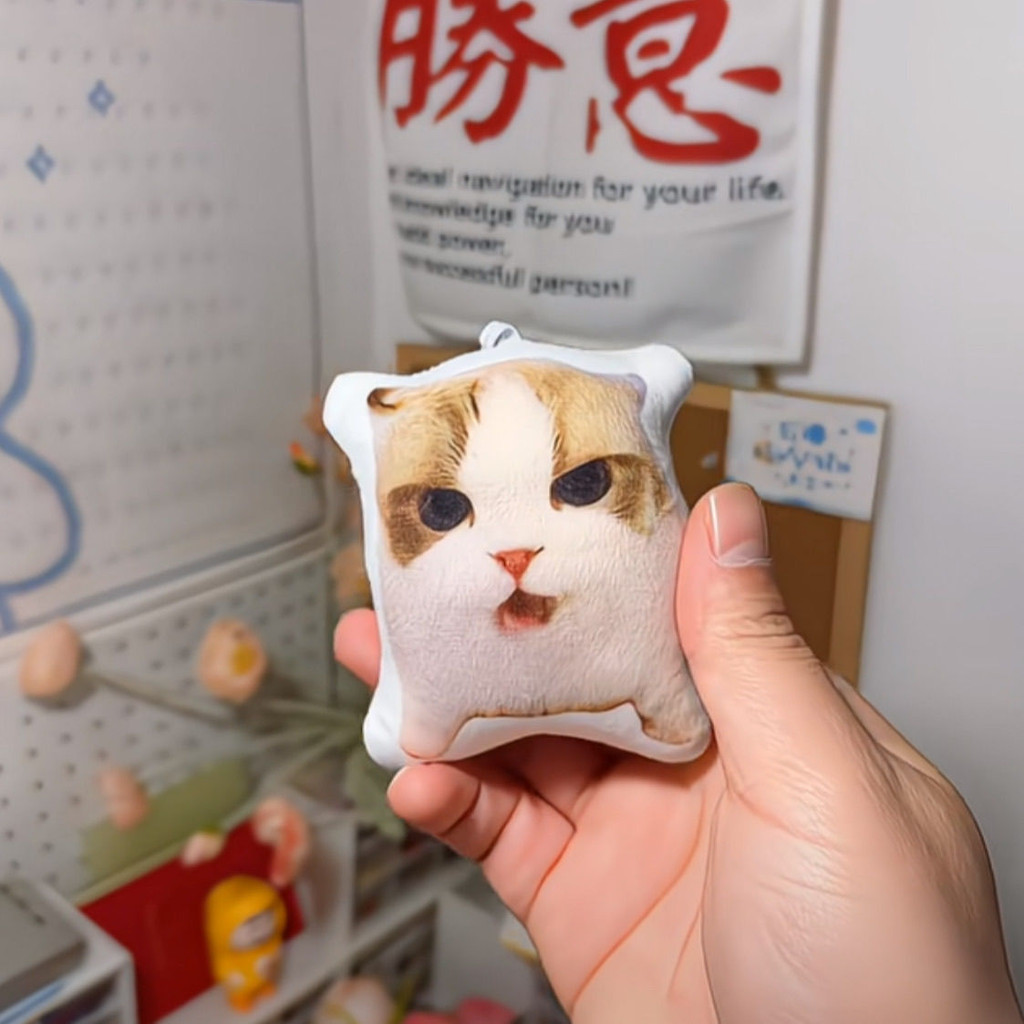 🍭Candy🍭Ngộ nghĩnh Brainrot Mèo Móc Khóa Cho Phụ Kiện Túi OIIA OIIA Meme ...