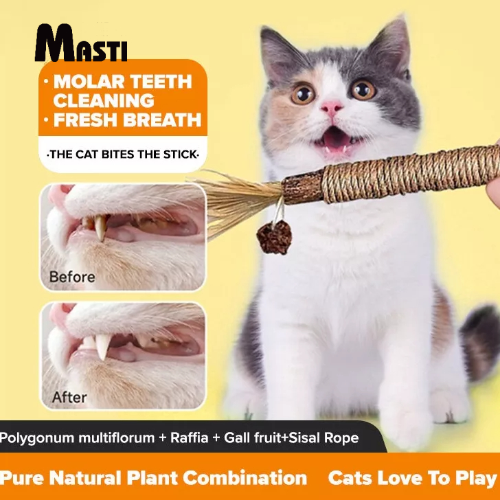 MASTI Gậy Bạc Hà Khô Catnip Cho Thú Cưng LI0601 | Shopee Việt Nam