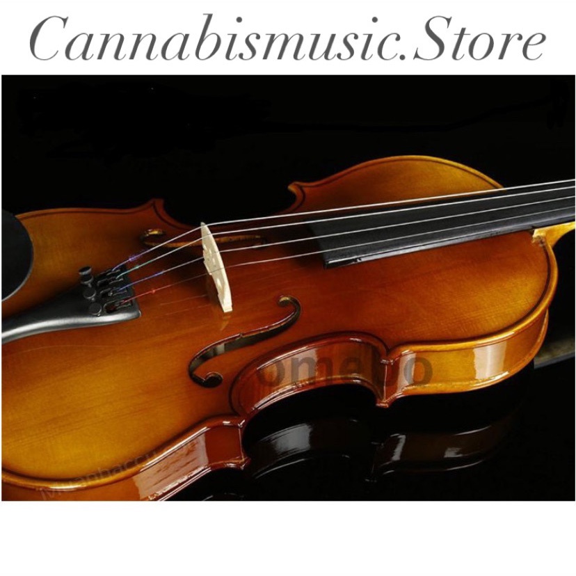 Đàn Violin Omebo Size 4/4 RV-205 (Gỗ Nguyên Tấm Vân Sam RV205 - Vĩ Cầm ...