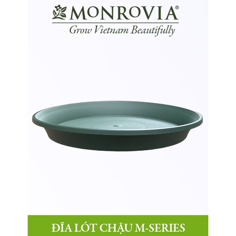 Đĩa lót chậu nhựa trồng cây Monrovia M-series - 4 Gallon (25.2*20.8*3cm ...