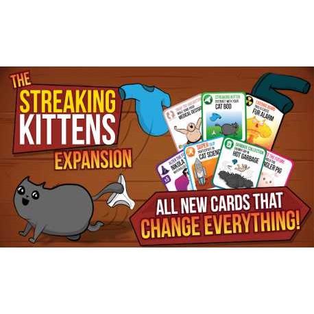 STREAKING KITTENS | Shopee Việt Nam