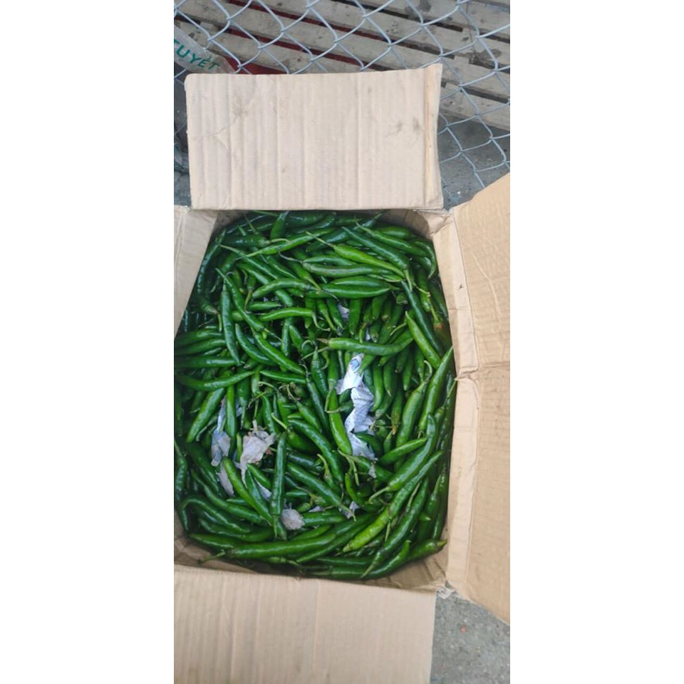 Ớt sừng xanh | Shopee Việt Nam