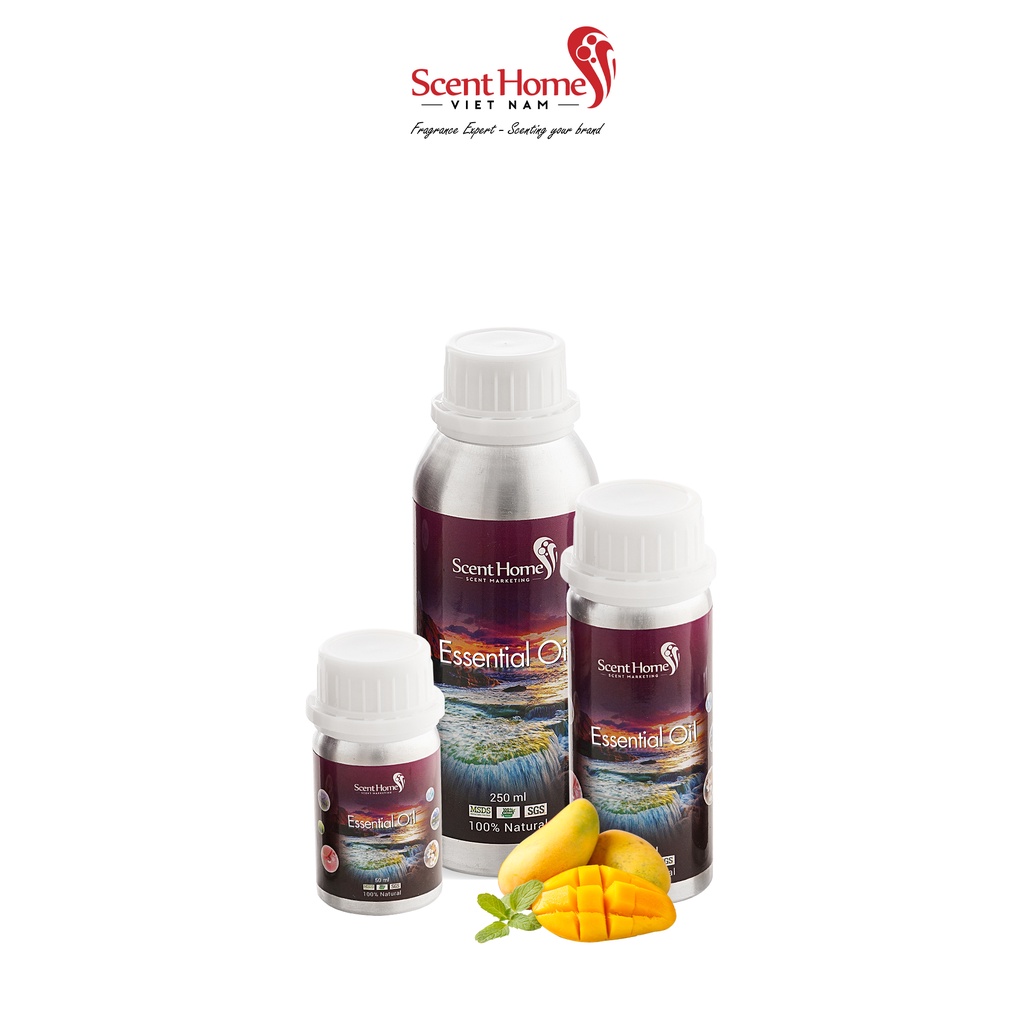 [Chính hãng] Tinh dầu Mango - ScentHomes (Mango - 50ml,100ml,250ml) | Shopee Việt Nam