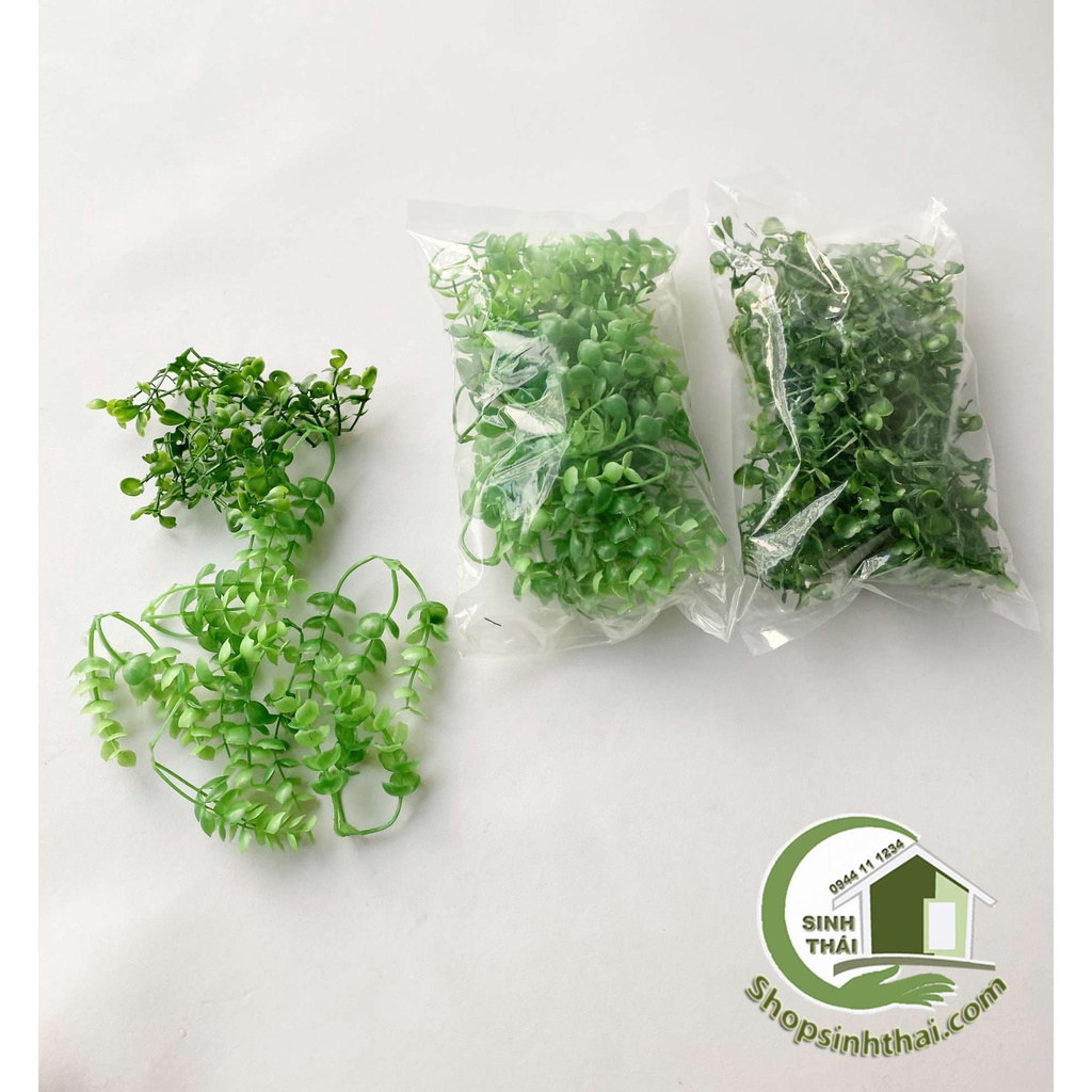Bịch cành lá màu xanh - cành lá cây giả xà lách xoang và tai chuột ...