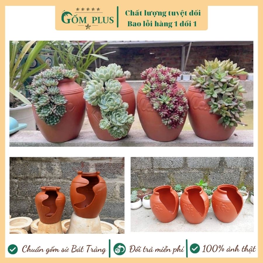 Chum sẻ trồng sen đá, chum sẻ đất nung, chậu hoa đẹp trồng cây, bonsai ...