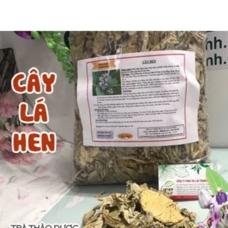 500gr cây lá hen khô (cây bồng bồng) | Shopee Việt Nam