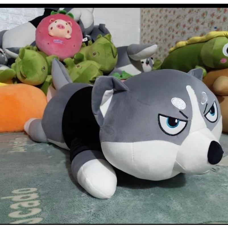 Chó Husky bông, gấu ôm chó ngáo, gấu bông siêu to khổng lồ, thú nhồi ...