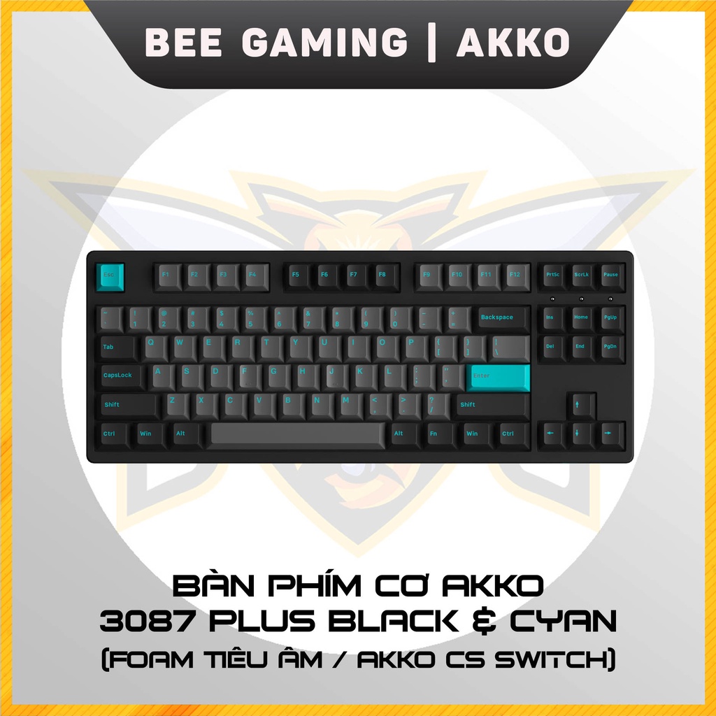 Bàn phím cơ AKKO 3087 / 3108 Plus Black & Cyan (Foam tiêu âm / AKKO CS switch) | Shopee Việt Nam