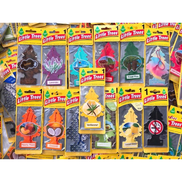 Thông thơm little trees _ hàng mỹ | Shopee Việt Nam