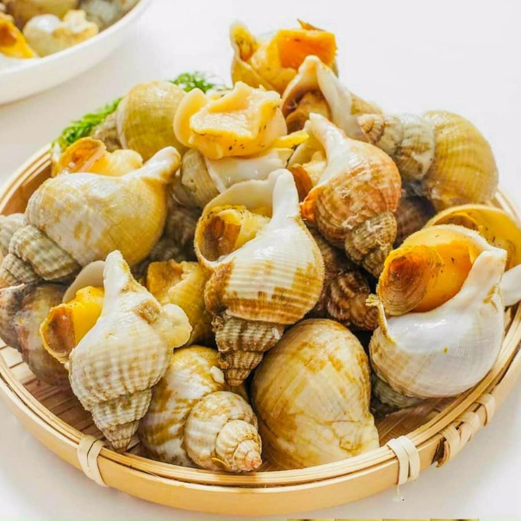 500gram Ốc Bulot Pháp / bu lot ( size 30 - 50 con / kg ) | Shopee Việt Nam
