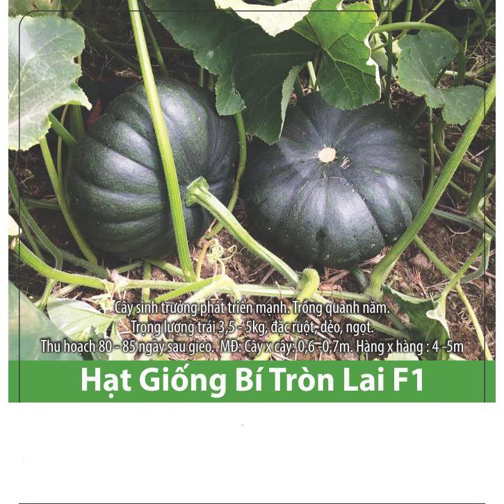 Hạt Giống Bí Đỏ Tròn Lai F1 Dễ Trồng, Thơm Ngon 1gr | Shopee Việt Nam