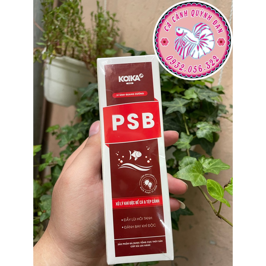 Men vi sinh trong nước PSB Koika 105ml | Shopee Việt Nam