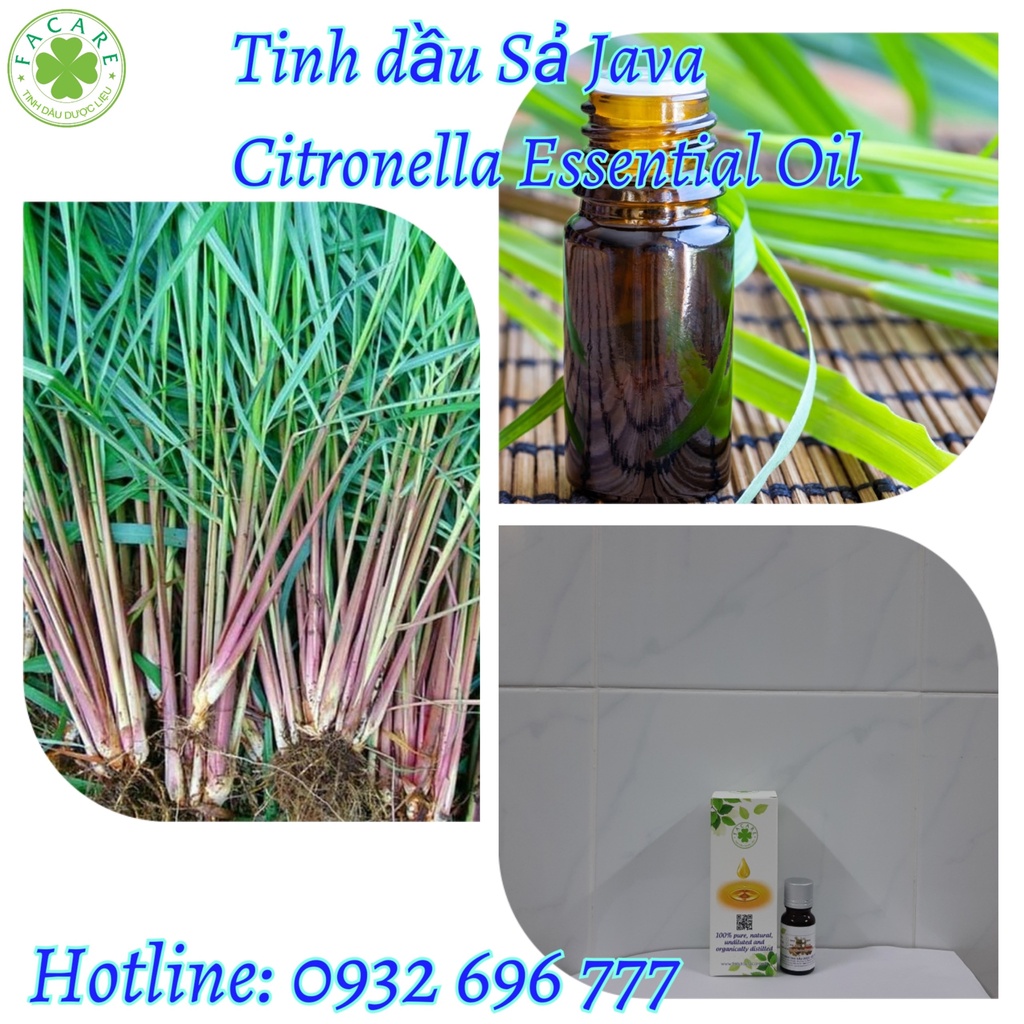 Tinh dầu Sả Java Citronella essential oil giúp khử mùi, thơm phòng, xua ...