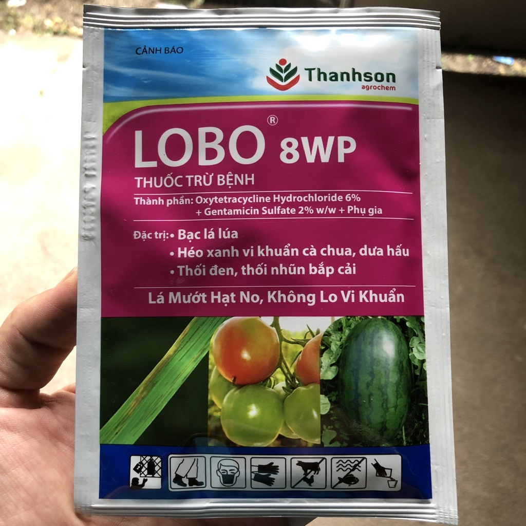 Chế Phẩn trừ vi khuẩn LOBO 8WP hiệu quả cao với héo xanh cà chua, dưa ...