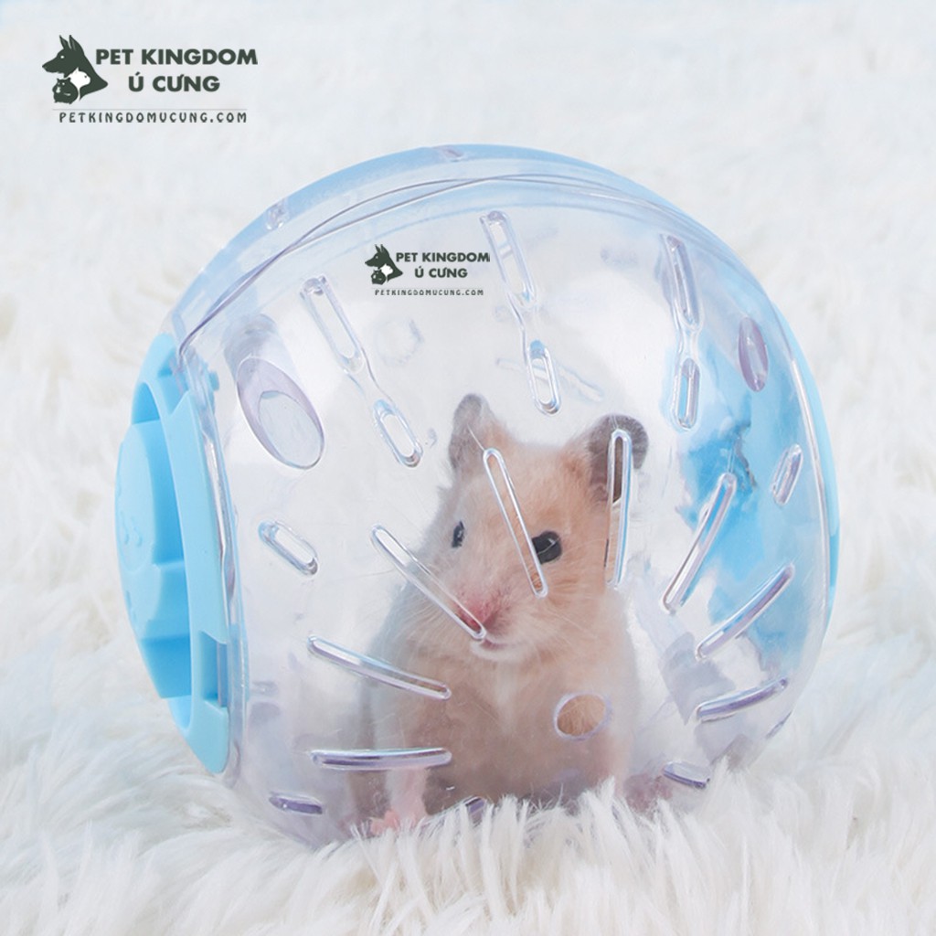 Bóng chạy mica cho hamster | Shopee Việt Nam