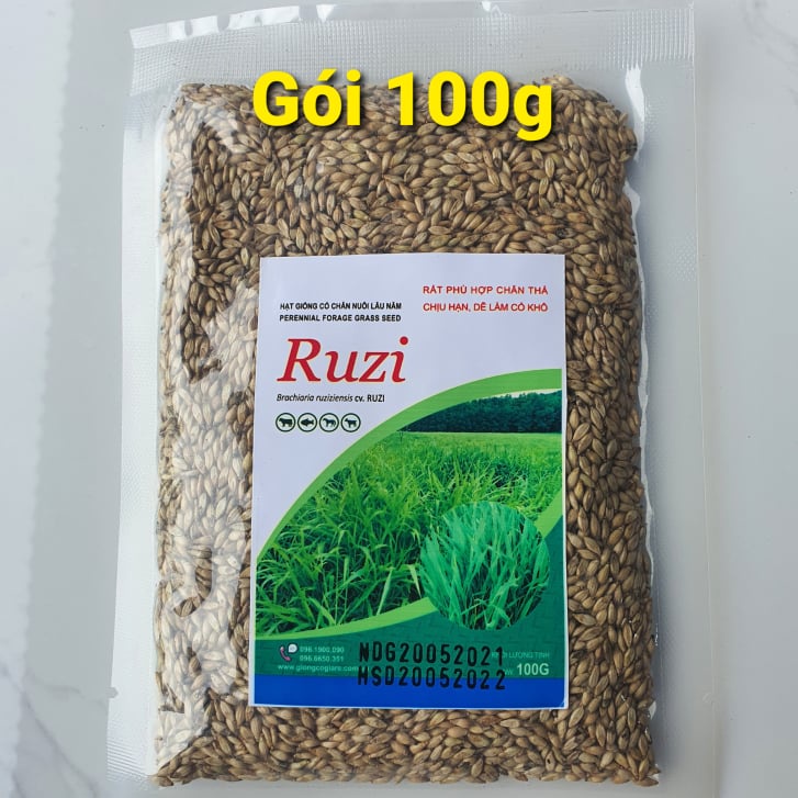 Cỏ Ruzi (Gói 100g) - Giống Cỏ Chăn Nuôi Chịu Dẫm Đạp | Shopee Việt Nam