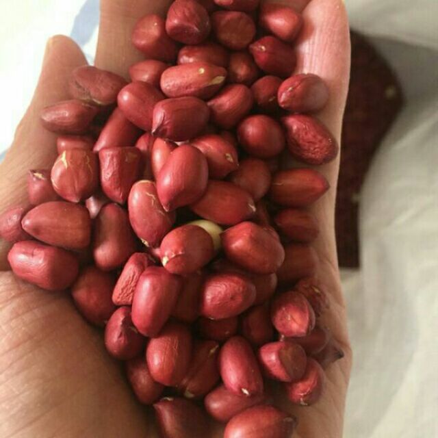 Sỉ giá gốc siêu rẻ hạt lạc đỏ 500g - 1kg | Shopee Việt Nam