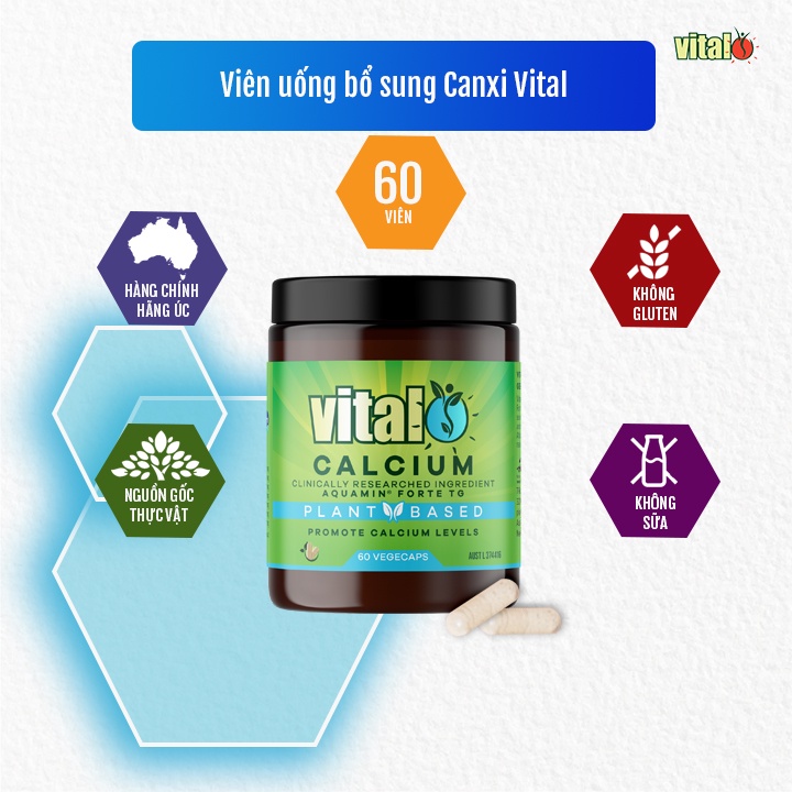 Viên Uống Bổ Sung Canxi Vital (60 viên) - Bổ Sung Canxi, Magie và Khoáng Chất Vi Lượng | Shopee ...