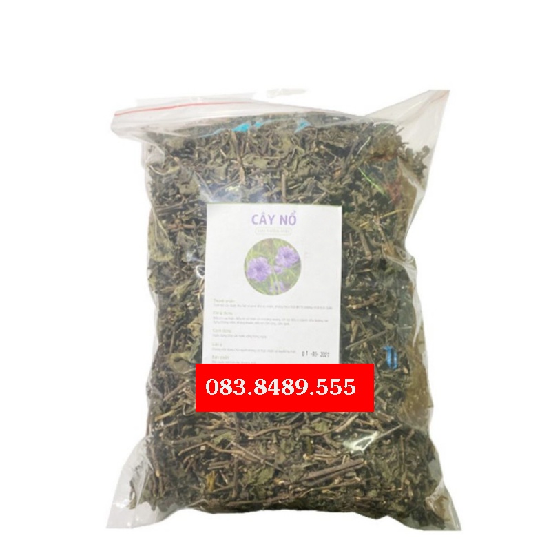 Cây nổ (sâm tanh tách) (1KG) - Cực tốt cho người bệnh thận hư, suy thận ...