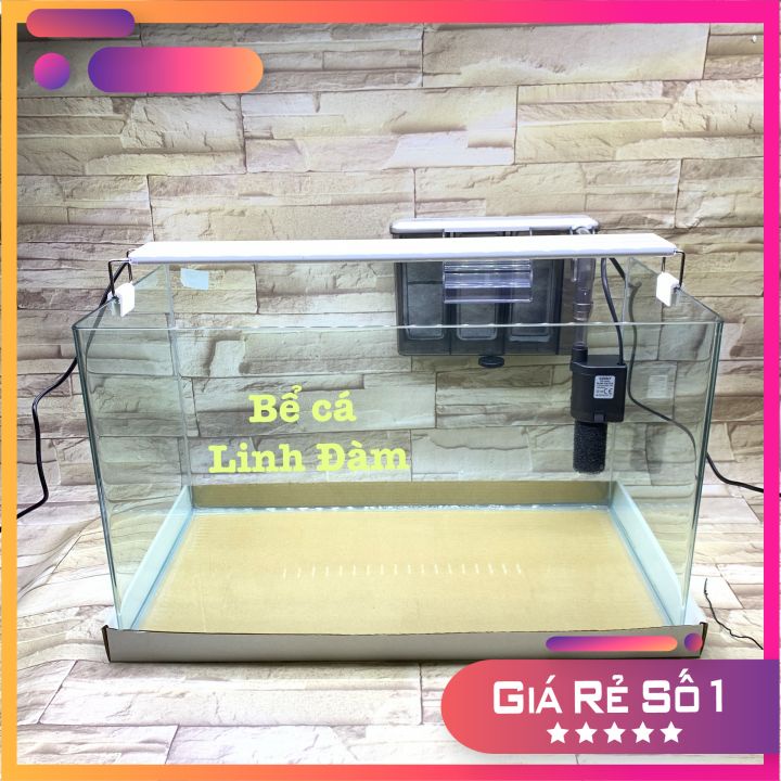 Bể Cá Chữ Nhật 50cm Kính Đúc Bo Góc Đẹp - Bể Cá Mini Dài 50cm (SHIP HỎA ...