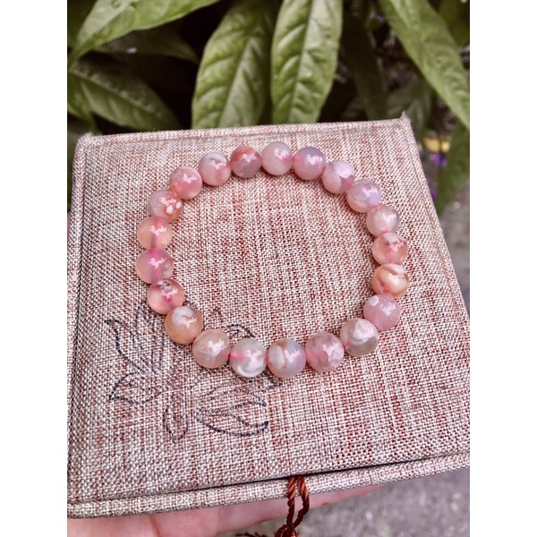 Mã não hoa anh đào | Shopee Việt Nam