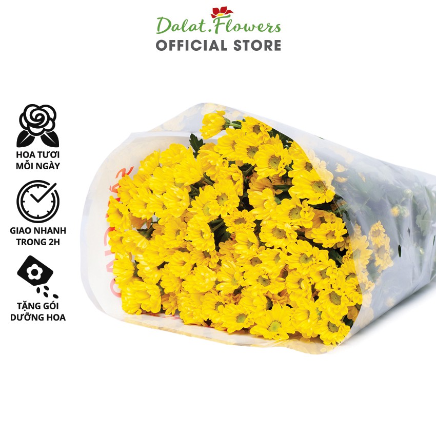 Hoa Cúc Chùm Rossi Vàng Đà Lạt (10 cành) - Hoa tươi cắm trang trí nhà ...