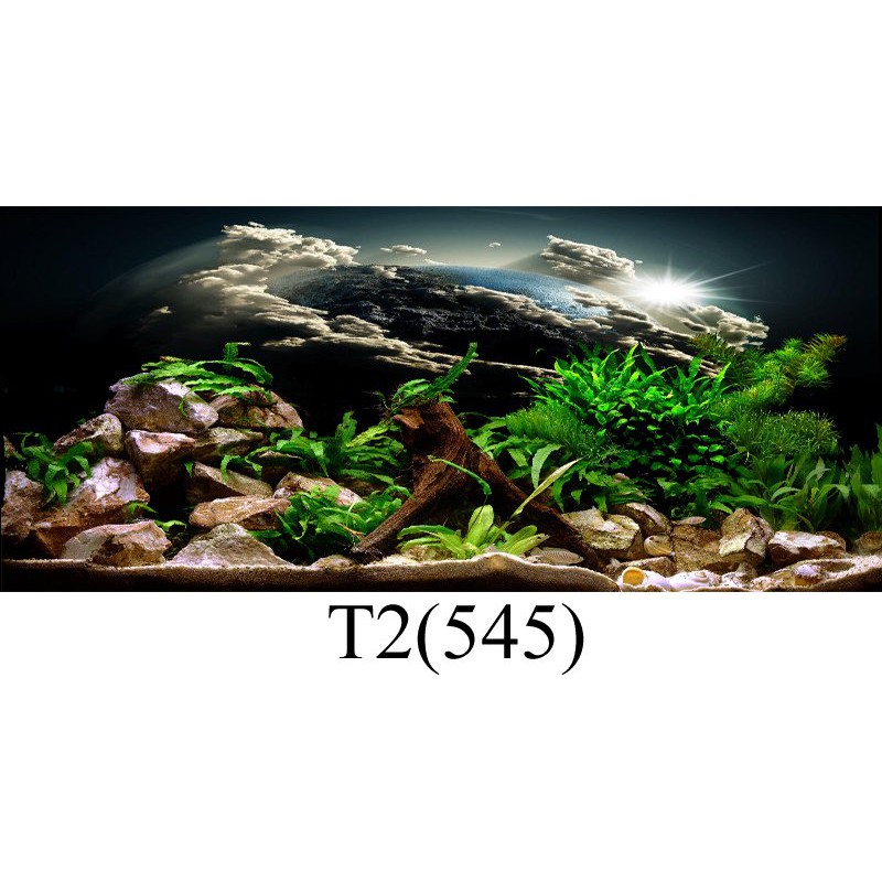 Tranh dán bể cá 3d nhiều kích thướt ( 60x40, 80x40, 80x50 , 90x50 ...