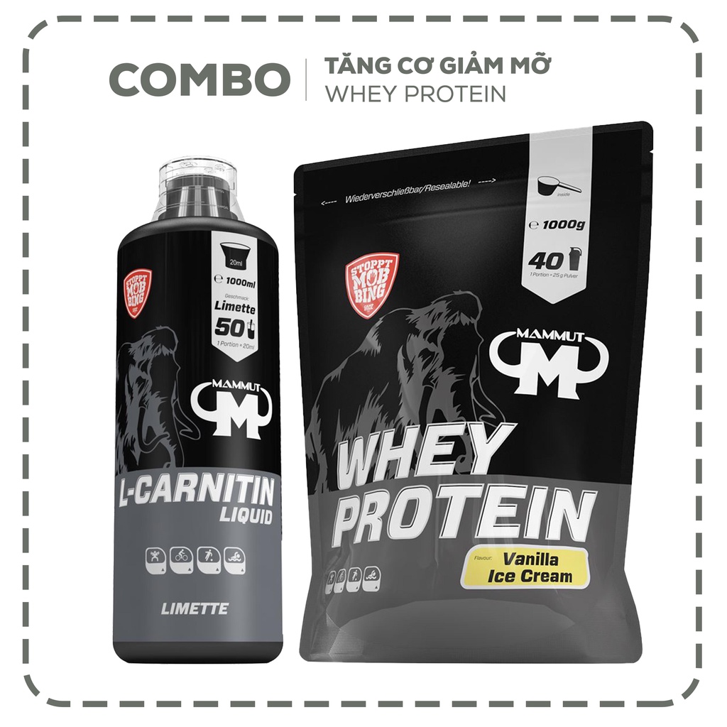 Combo Tăng Cơ Giảm Mỡ Whey Protein (Vị Kem Vanilla) | Shopee Việt Nam