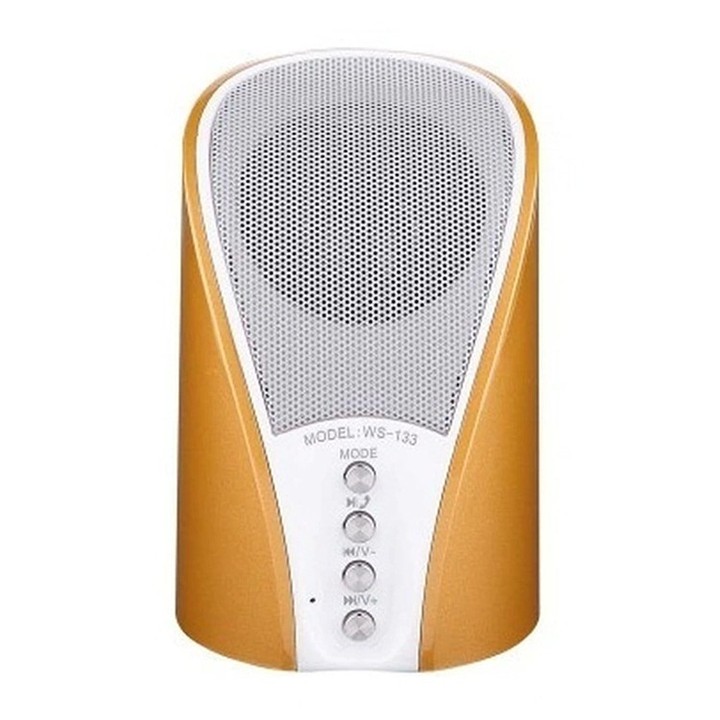 Loa Bluetooth di động Wster WS-133 hỗ trợ thẻ nhớ USB FM AUX | Shopee ...