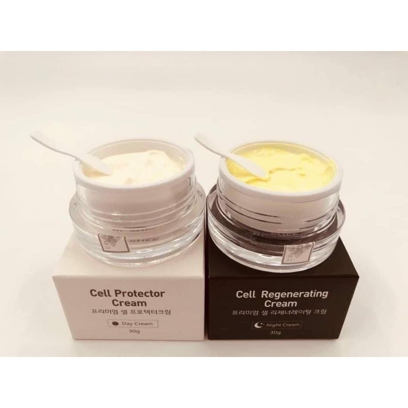 DR.SHEE - SET KEM DƯỠNG NGÀY ĐÊM | Shopee Việt Nam