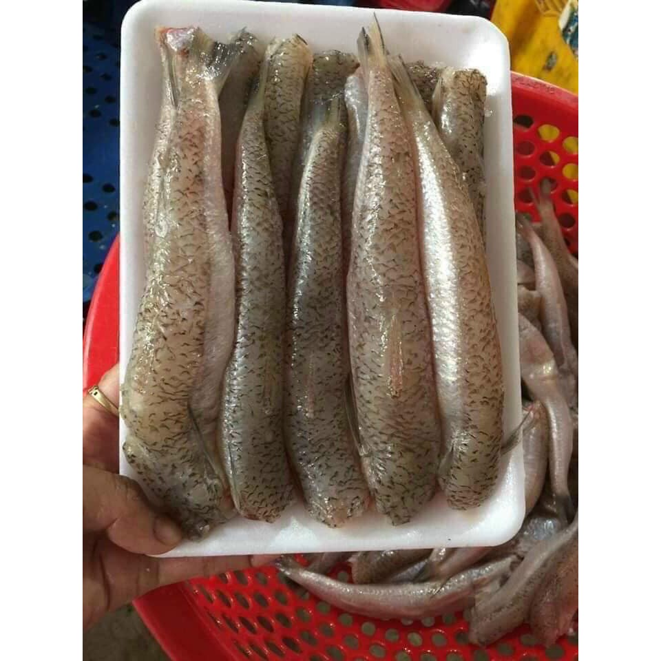 Cá Bống Biển 1kg ( Giao HN sau 2h) | Shopee Việt Nam