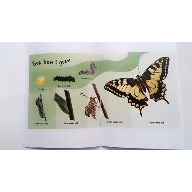 Bộ Sách SEE_HOW_THEY_GROW - 14 CUỐN | Shopee Việt Nam